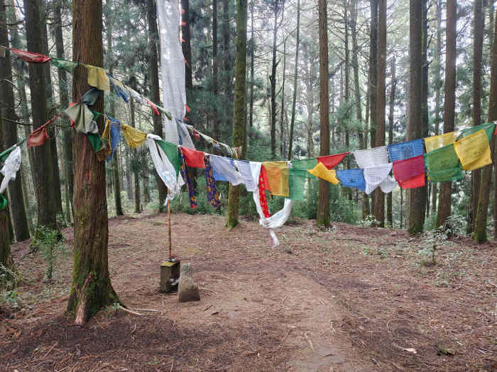 Yeti Stone of Samanden, Darjeeling, West Bengal, India - HubPages