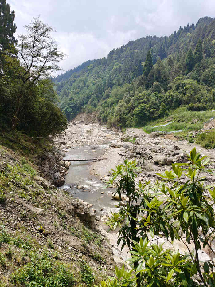 Yeti Stone of Samanden, Darjeeling, West Bengal, India - HubPages