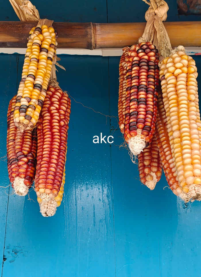 Cave Shrine of Lord Shiva, Rammam, Darjeeling district, West Bengal ...