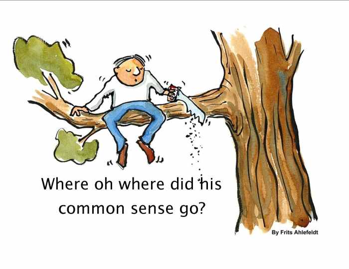 Common Sense Sayings, Quotes and Proverbs - HubPages