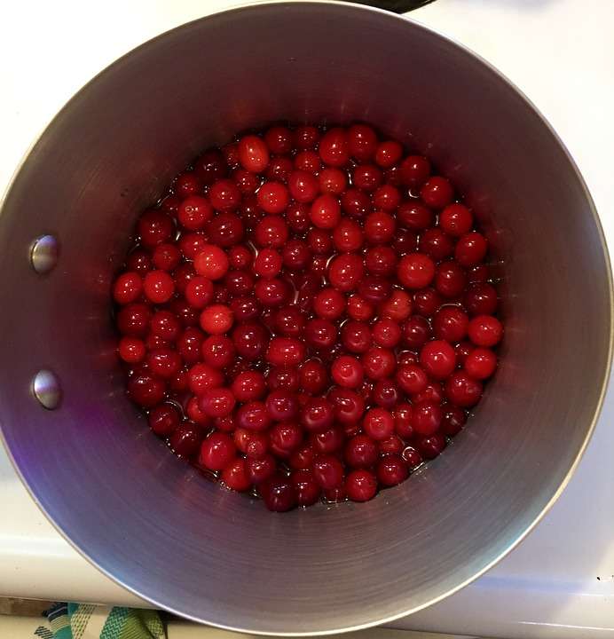 Cranberry Recipes, Fun Facts, and Benefits - HubPages