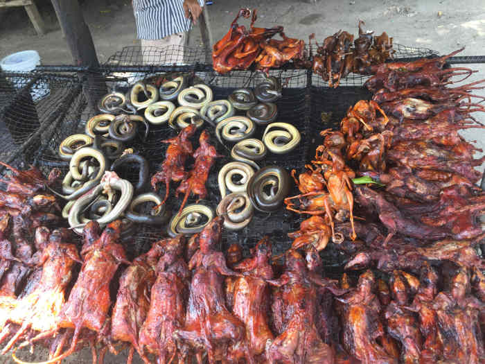 Bizarre Delicacies in Southeast Asean Countries - HubPages