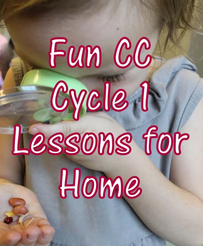 Fun CC Cycle 2 Lessons and Book Ideas for Home - HubPages