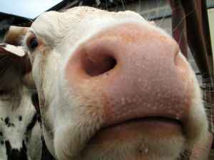 How to Deal With Nosey Family Members - HubPages