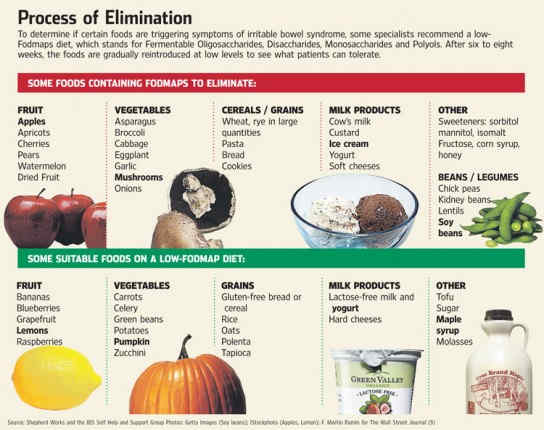 Pros & Cons of Today's Popular Diets - HubPages