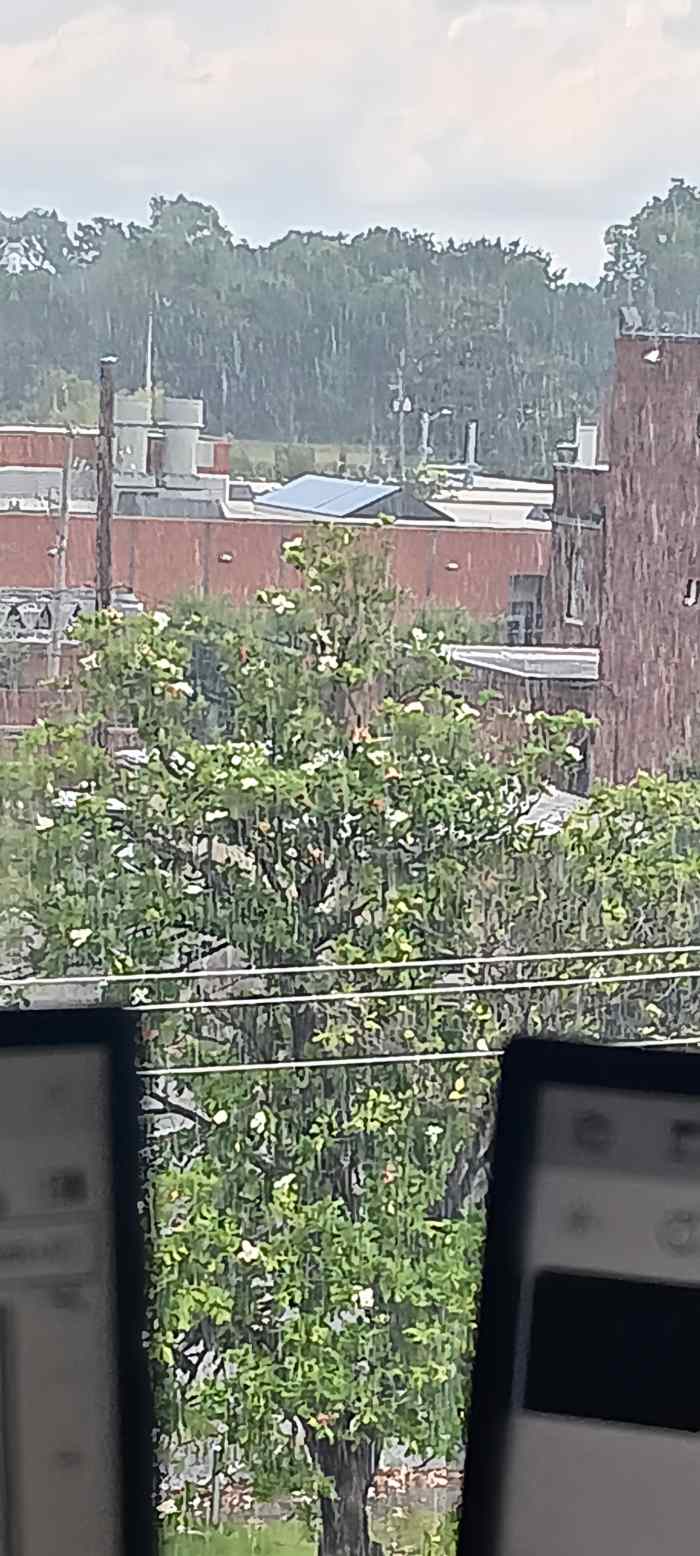 What Sounds Can I Hear? - HubPages