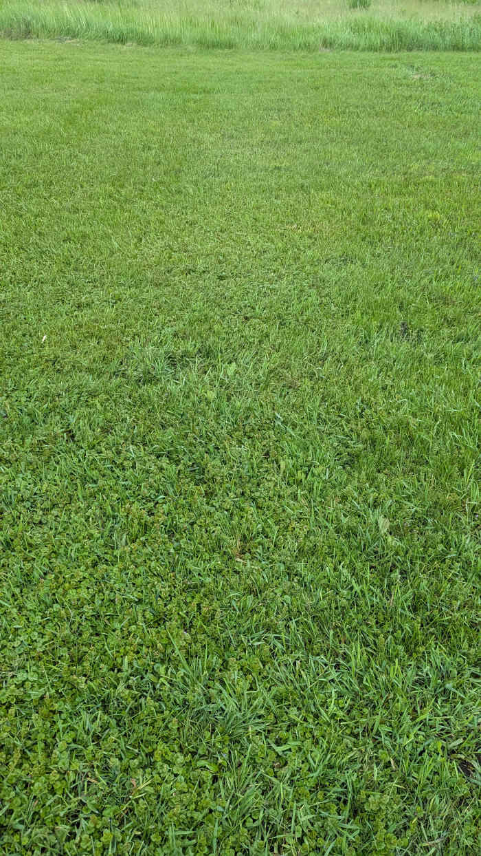 Garden Tilling - Clearing a Grassy Spot - HubPages