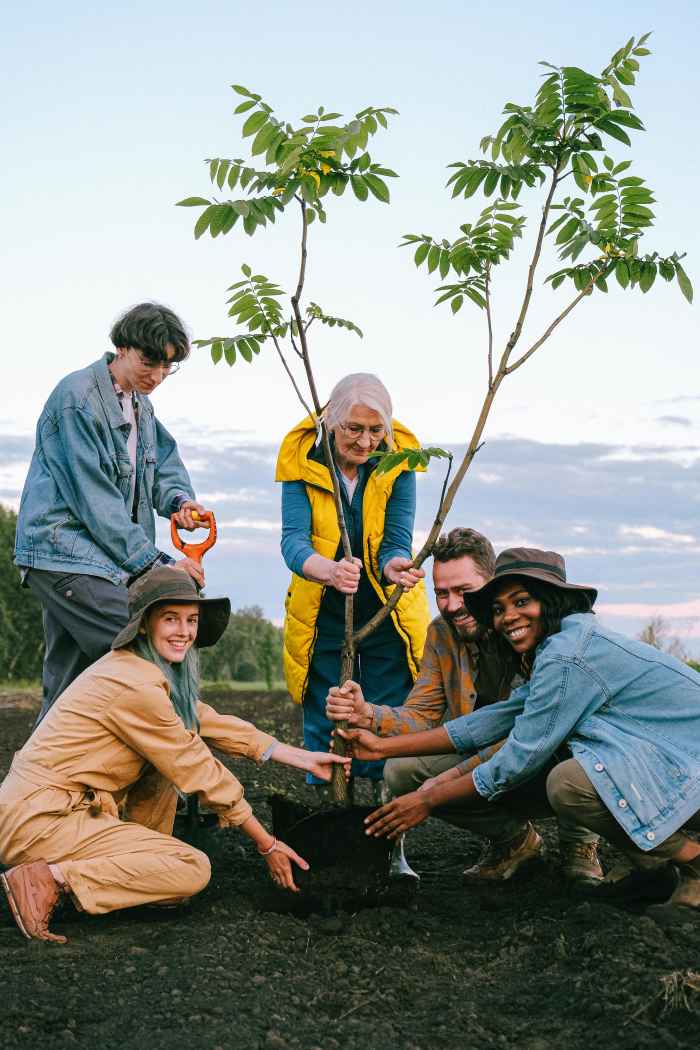 How the Community Can Get Involved With Wildlife Conservation - HubPages