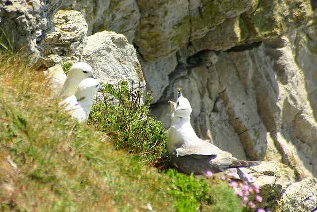 Tips for Being a Good Neighbor - HubPages