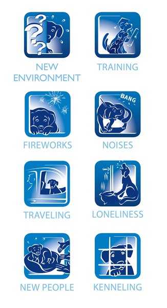 Calm your Dog with a DAP Diffuser, Collar, or Spray From Adaptil - HubPages