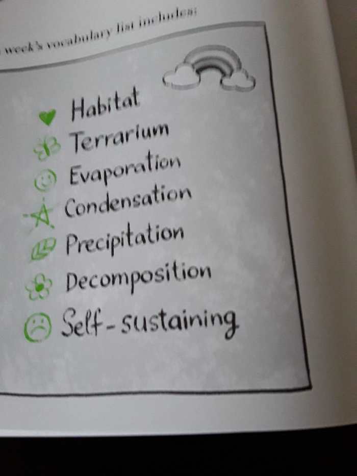 Adventures with Charming Character Bibsy Cross in 3 Chapter Books for ...