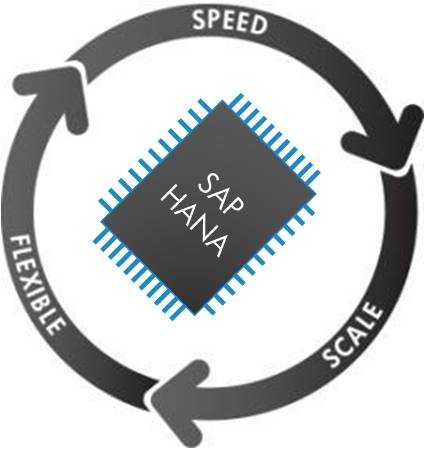 What Is Sap Hana? Everything You Need to Know About Sap S/4 Hana - HubPages