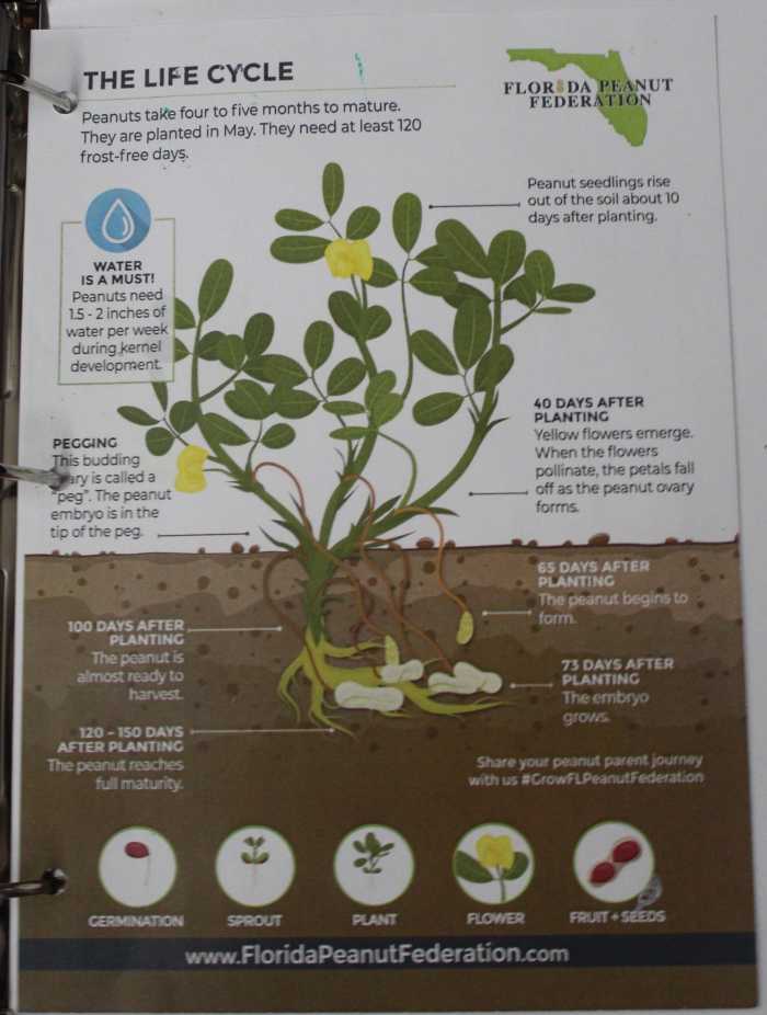 Reconstruction Hands-on Lesson Plan for Elementary Children - HubPages