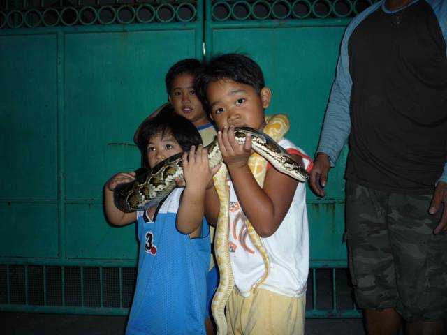 Basic Python care - HubPages