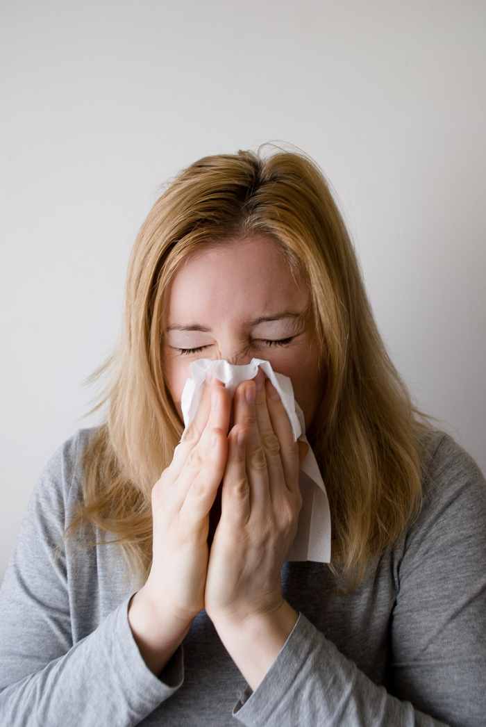 Hay Fever and Allergies Begone! Great Herbs for Alleviating Hay Fever and Other Allergies - HubPages