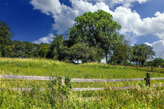 Original Poetry: Alone With The Crows - HubPages