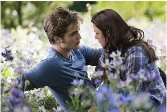 Twilight Saga: Twilight, New Moon, Eclipse, Breaking Dawn - HubPages