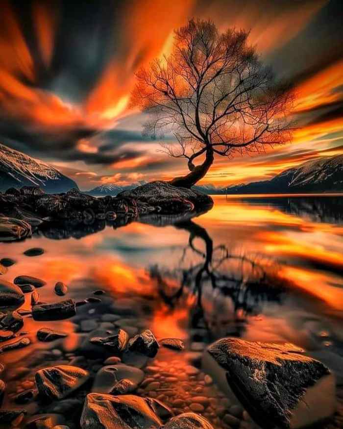 Correction "The Rod" - HubPages