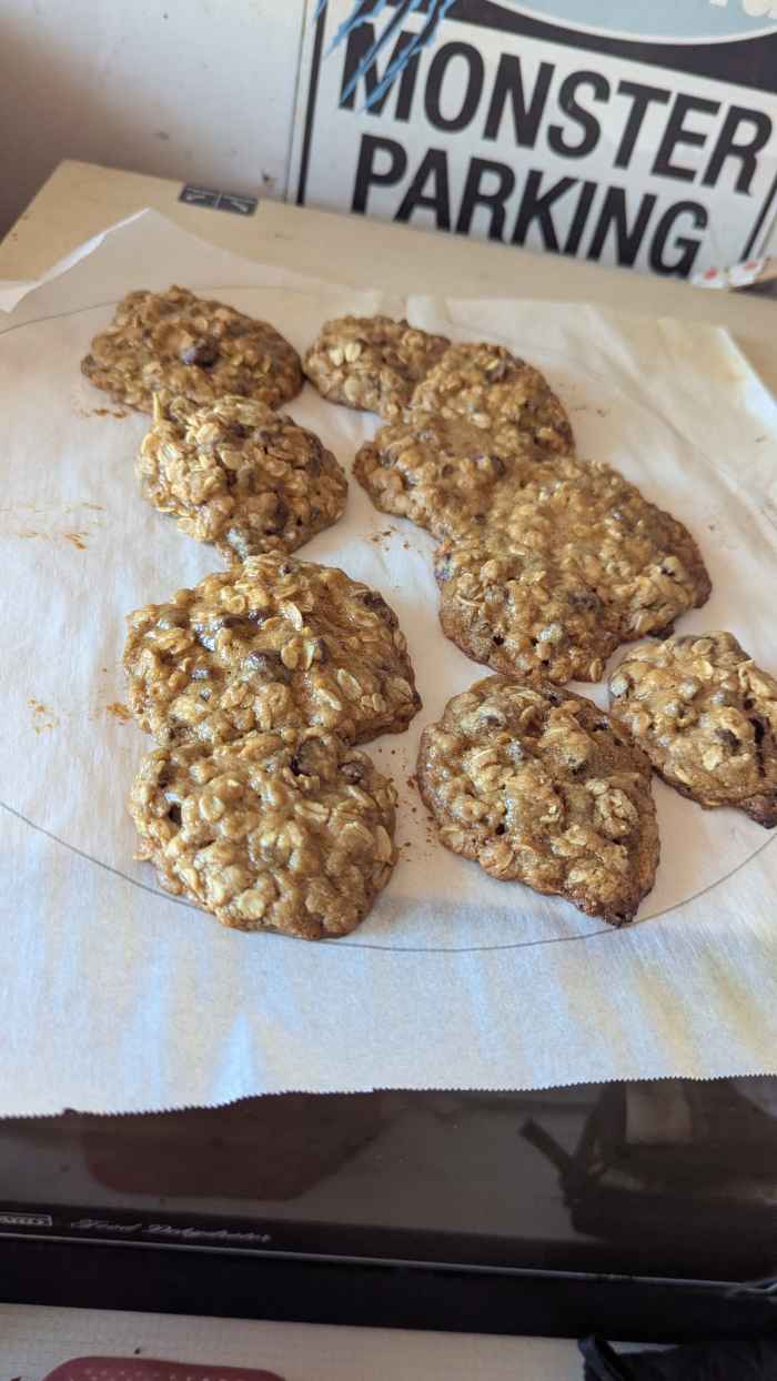 Grill Cookies - Can it be Done - Maybe - HubPages