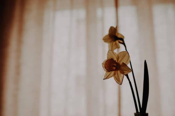 Believe Me, I Know It - HubPages