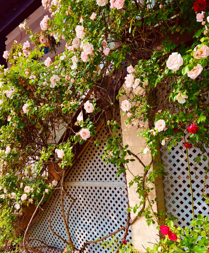 My Writing to The Long Haulers - HubPages