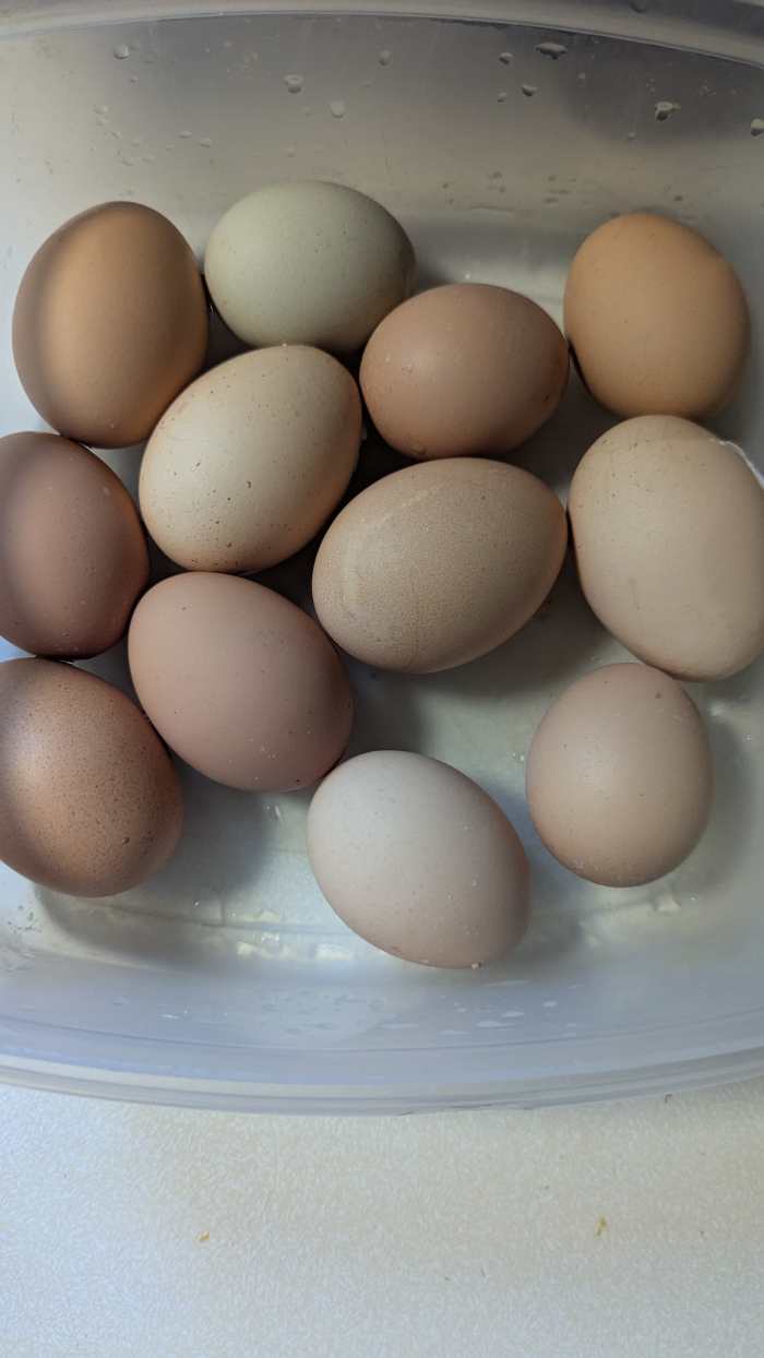 Deviled Eggs - God Bless America - HubPages