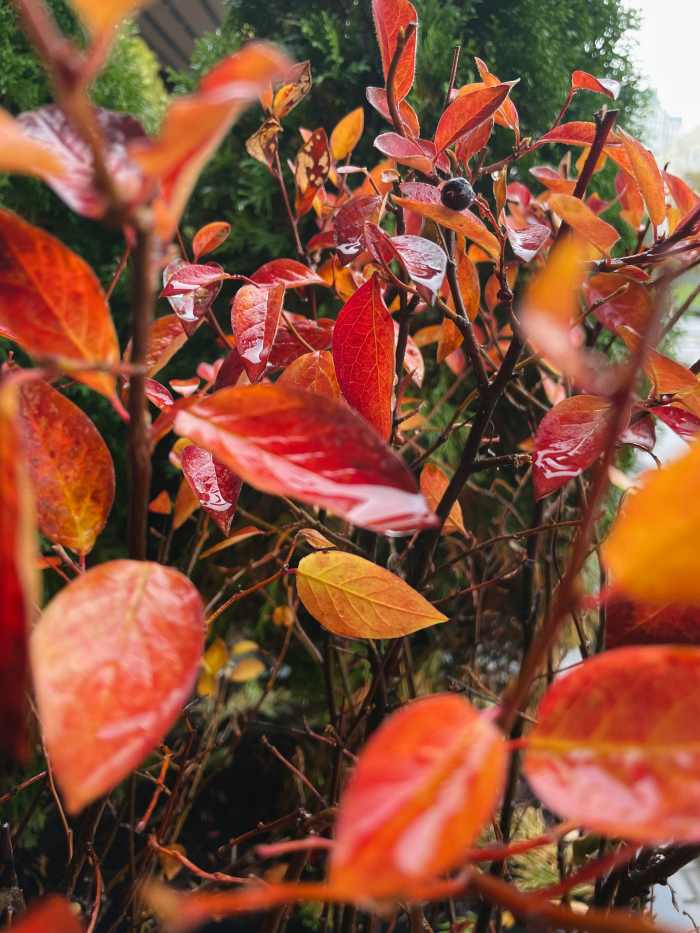 Autumn: Poetry - HubPages