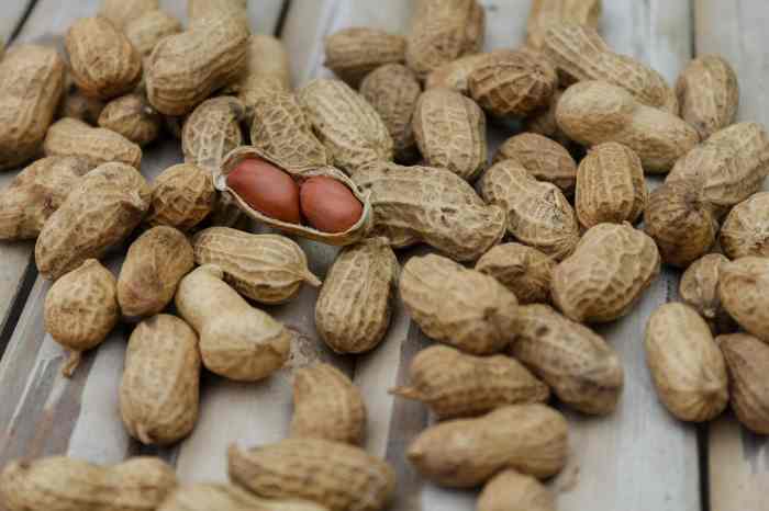 100 Years of Food Evolution: From Traditional Meals to Tech-Driven ...