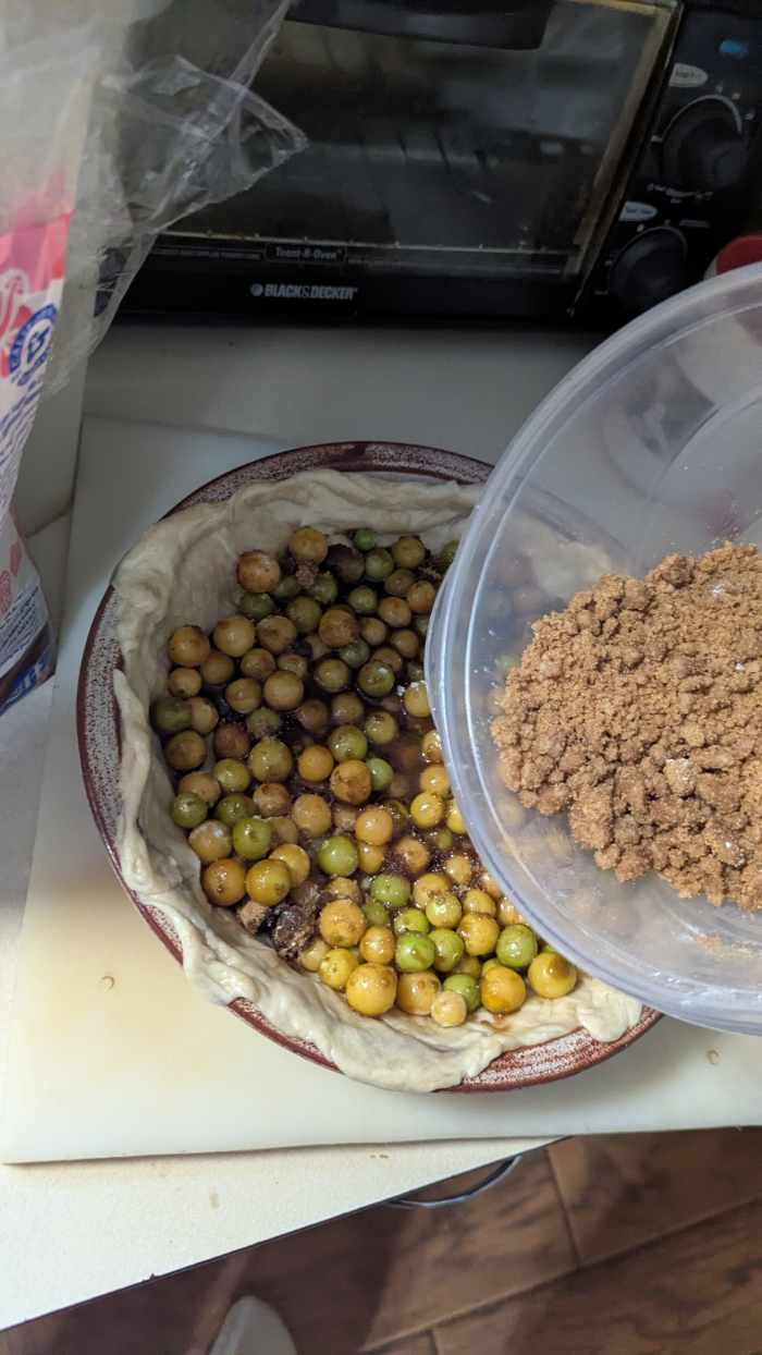 Ground Cherry Pie - HubPages