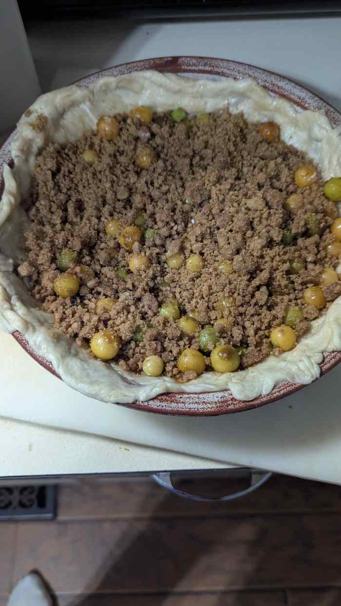 Ground Cherry Pie - HubPages