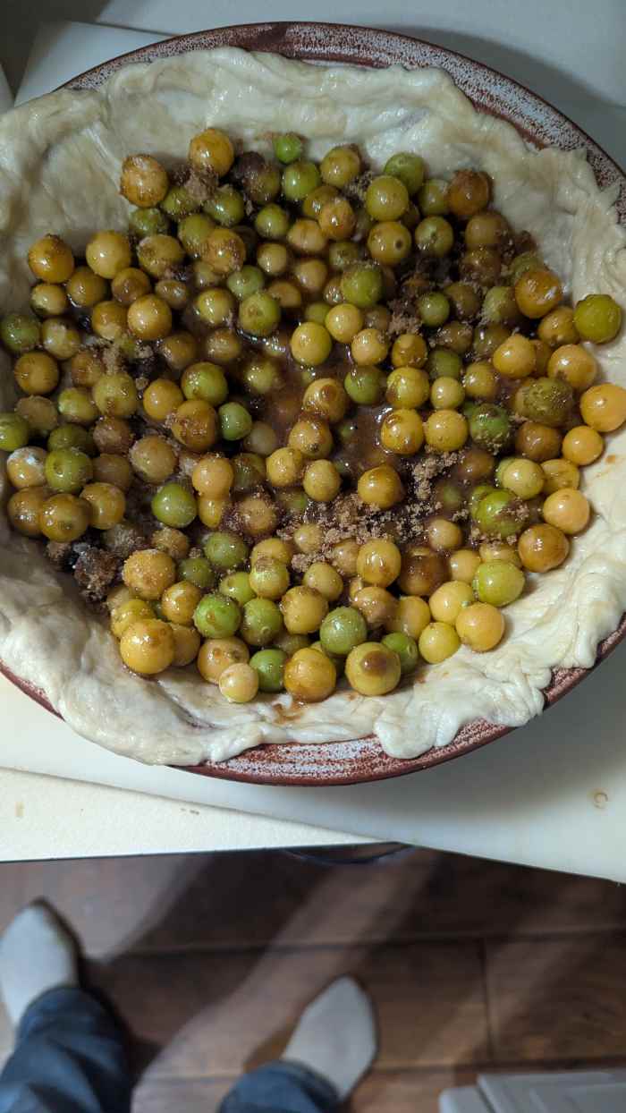 Ground Cherry Pie - HubPages