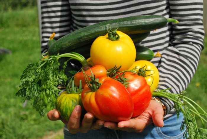 Learn vegetable names in Arabic With English Translation - HubPages
