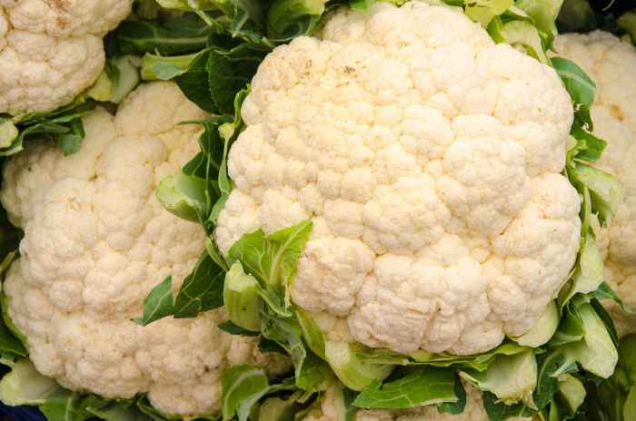 Learn vegetable names in Arabic With English Translation - HubPages