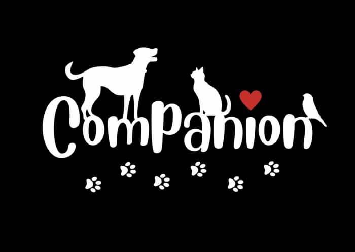 Companion (Narrative Poem) - HubPages