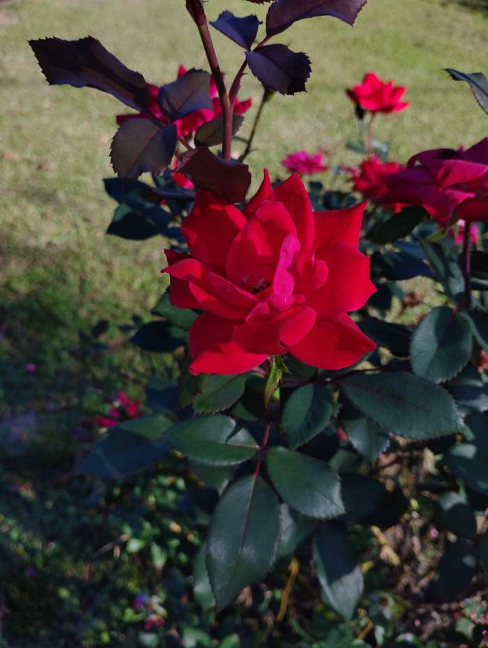 My Old Worn Out Shoes - HubPages