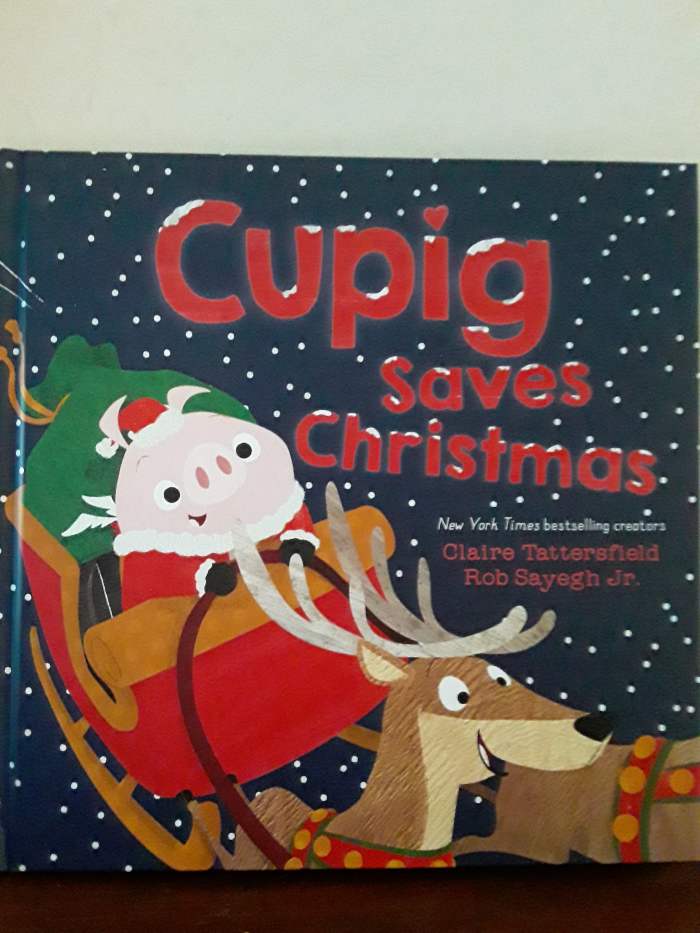Santa Gets Help From 2 Adorable Characters in 2 Picture Books for the ...