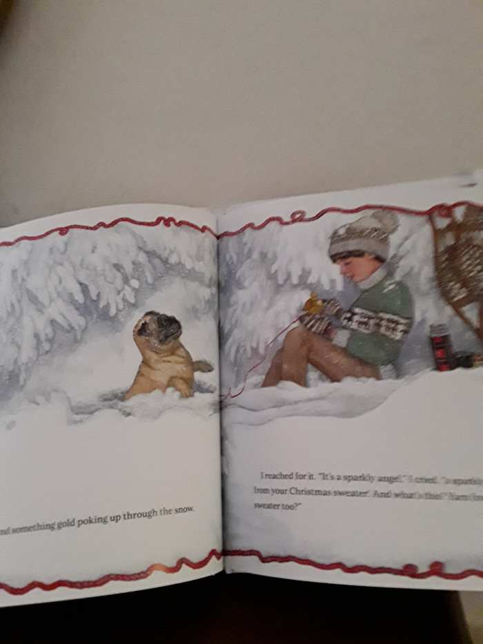 Christmas Miracle With a Dog and Its Special Sweater in New Picture ...