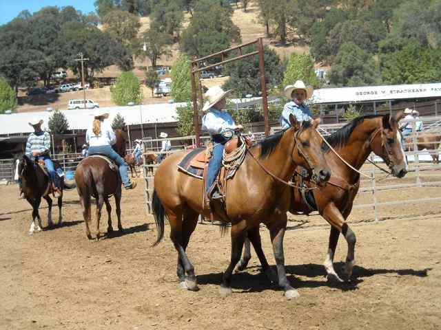 The American County Fair Tradition - HubPages