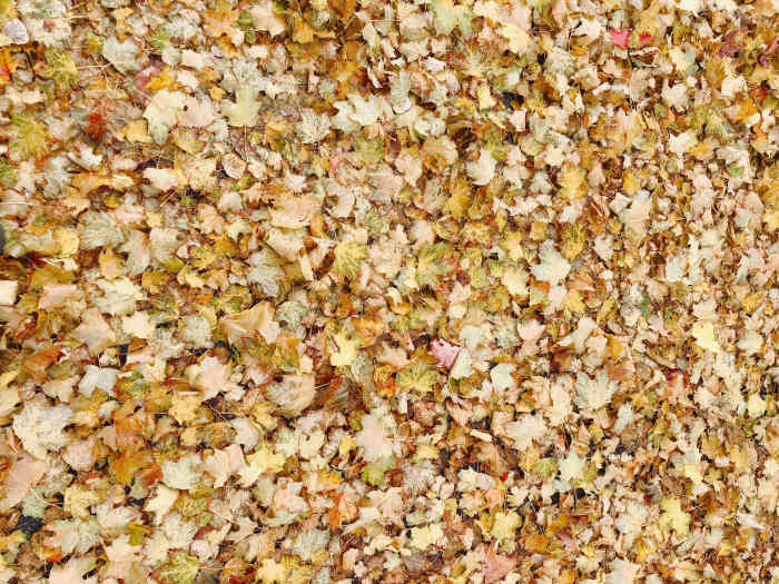 10 Best Fall TV Shows to Get You in the Autumn Mood - HubPages