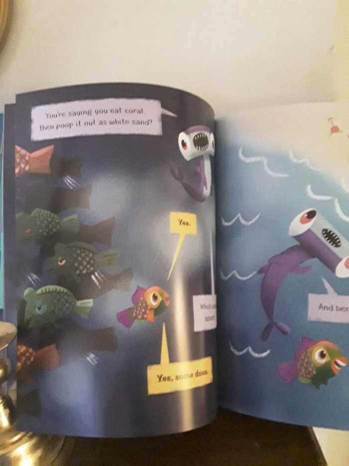 What is the Parrotfish's Superpower? in Colorful and Educational ...