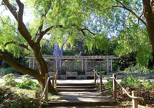 Ode To Spring - San Francisco Botanical Garden in February - HubPages