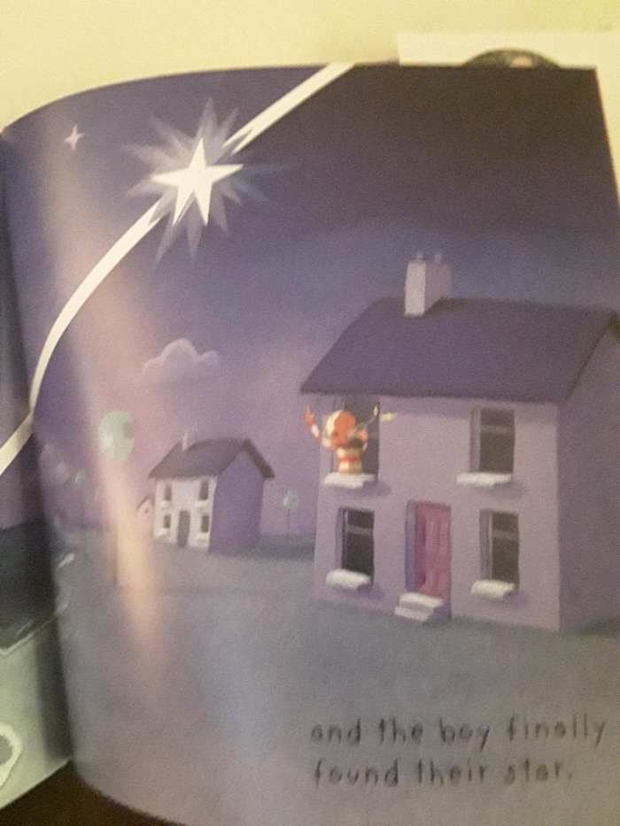 The Best Place to Hide a Star in Delightful Picture Book - HubPages