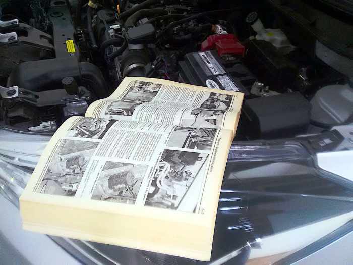 Why Is My Lifter Ticking? - HubPages