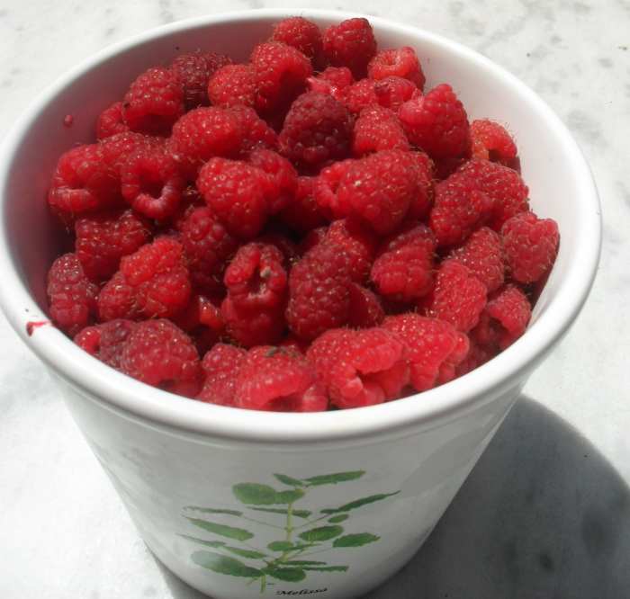 8 Easy Raspberry Recipes - HubPages