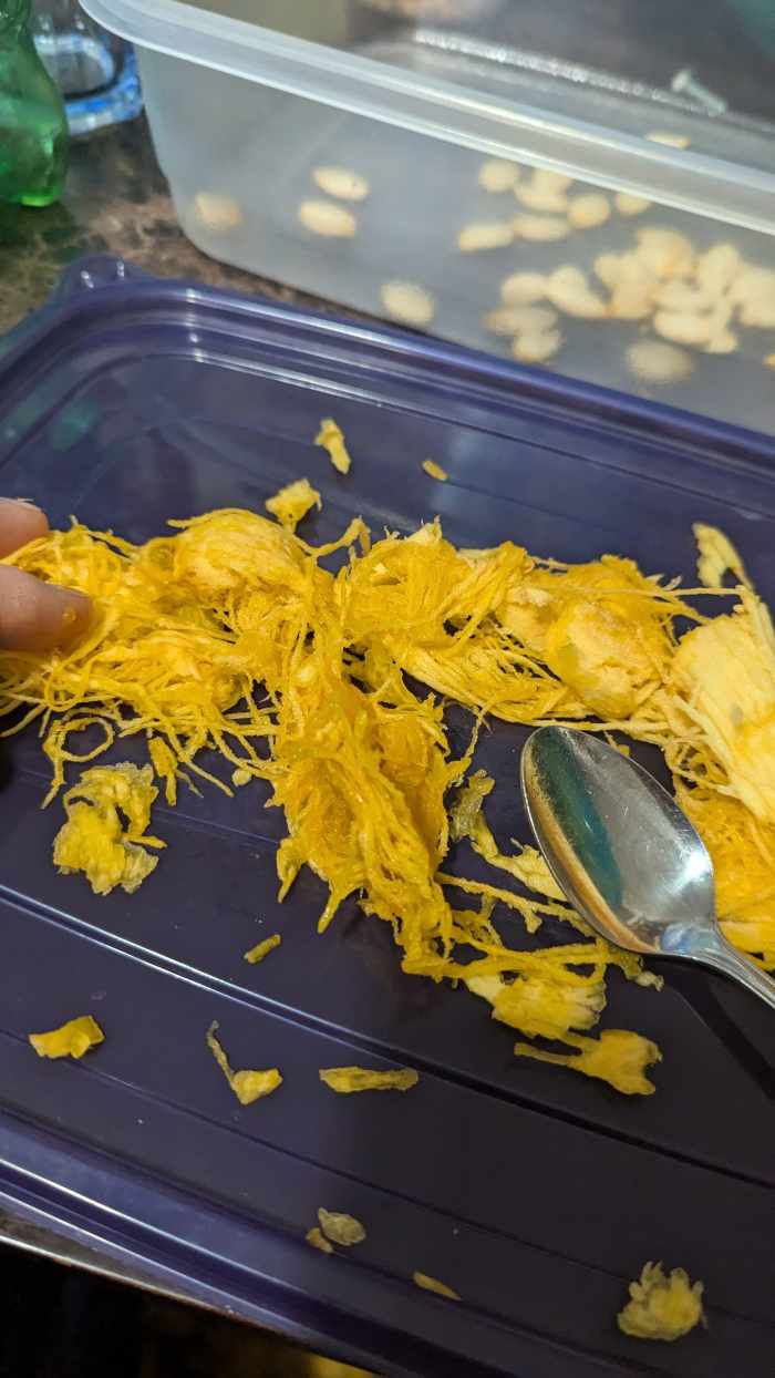 Pumpkin Seeds - Cleaning for Roasting - HubPages