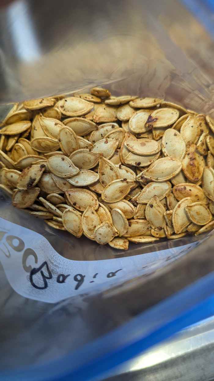 Pumpkin Seeds - Cleaning for Roasting - HubPages