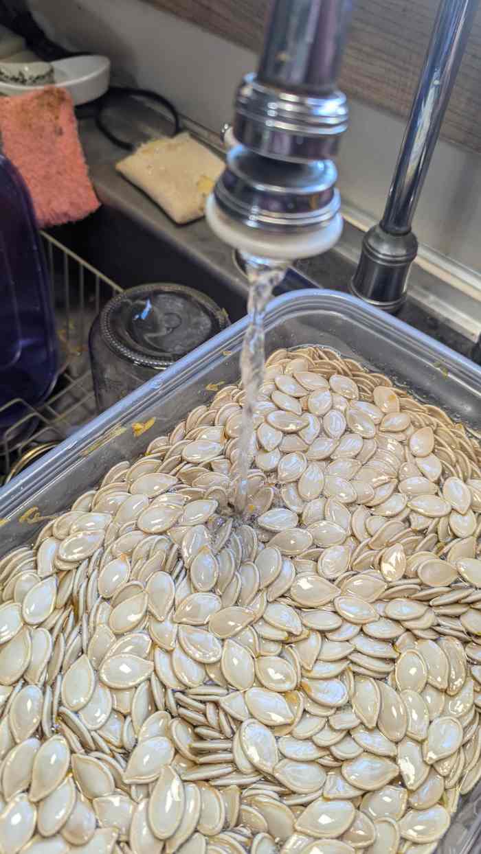 Pumpkin Seeds - Cleaning for Roasting - HubPages