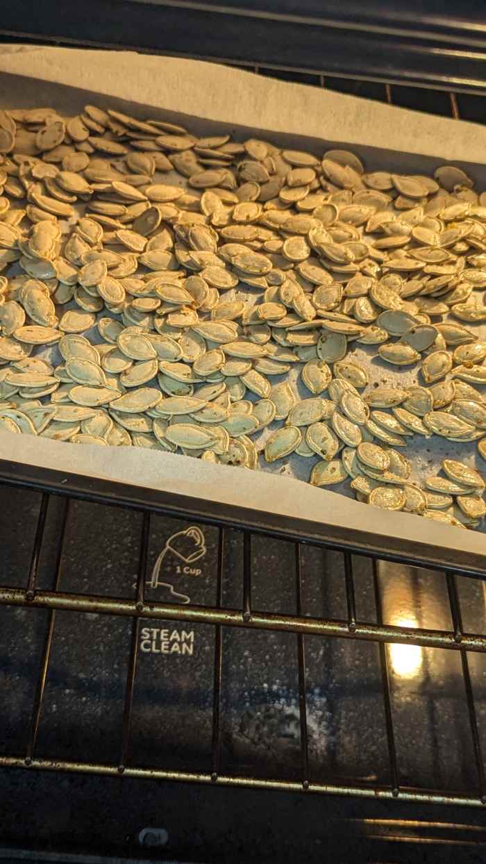 Pumpkin Seeds - Cleaning for Roasting - HubPages
