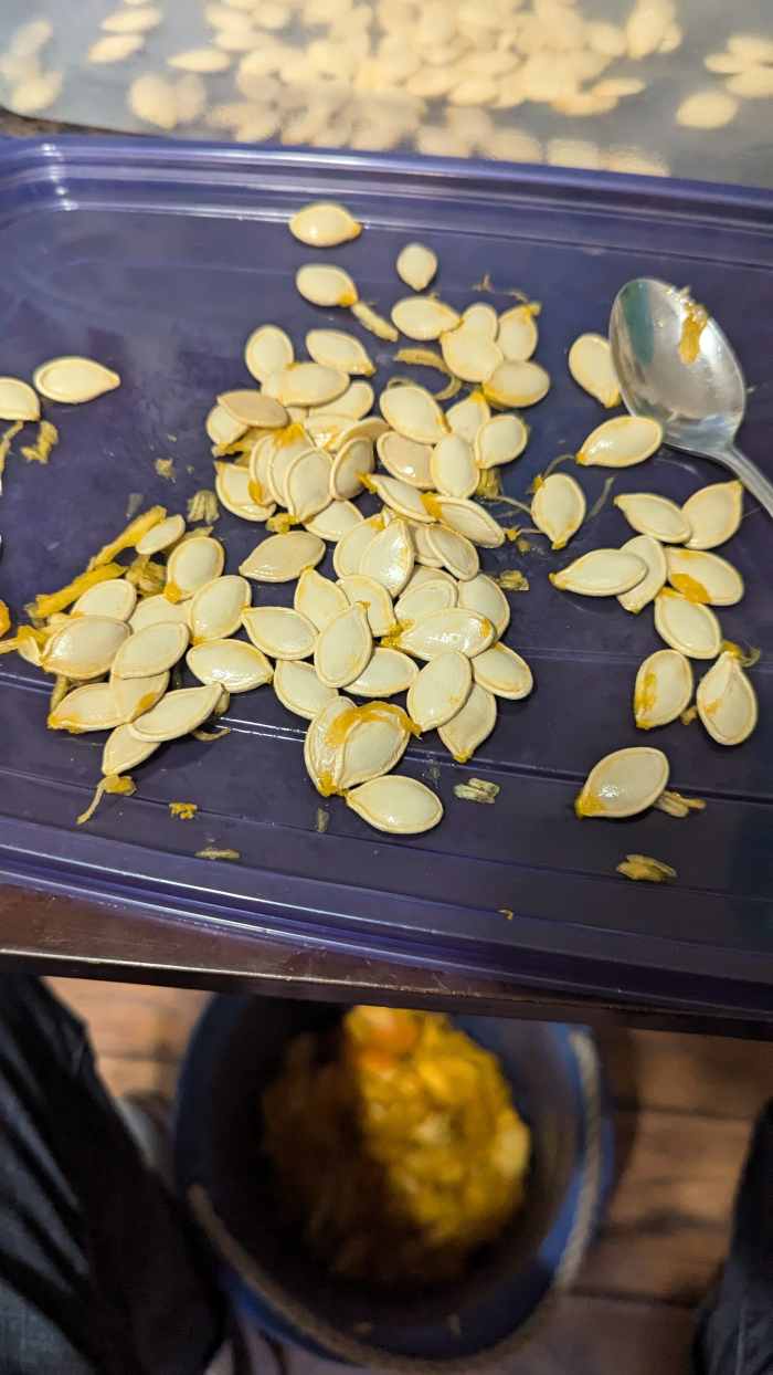 Pumpkin Seeds - Cleaning for Roasting - HubPages