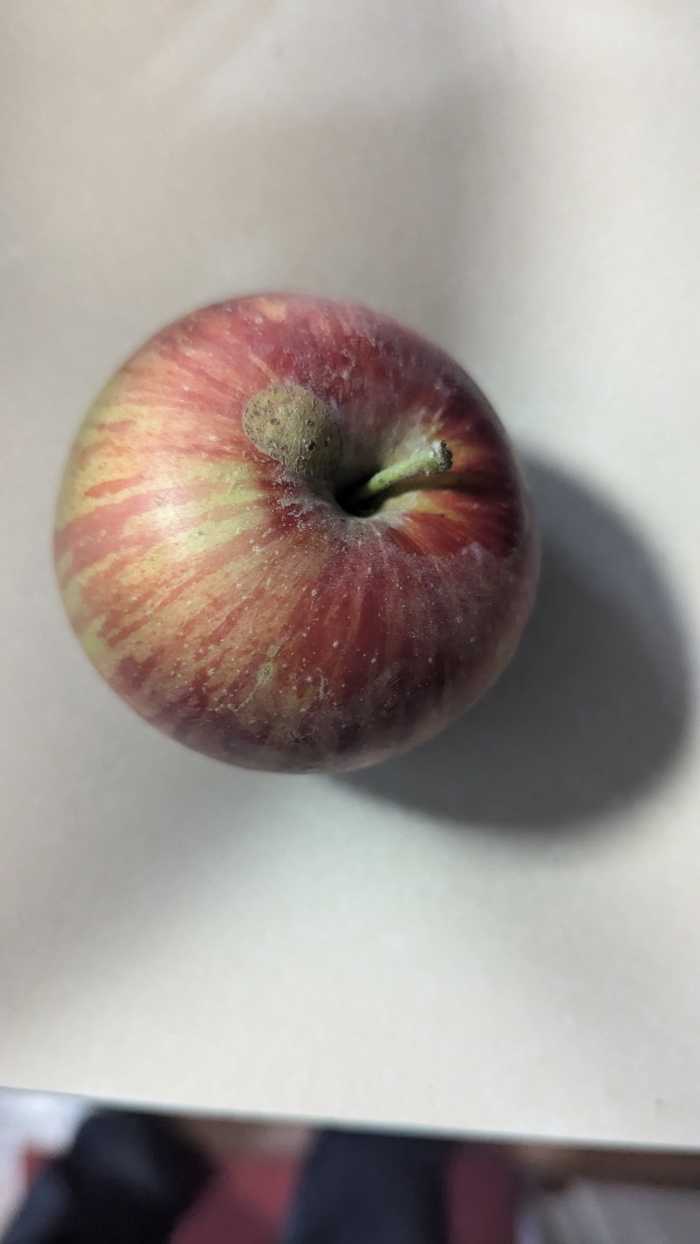 Apple Chunk Cookies - Kind of Like Apple Crisp in Cookie Form - HubPages